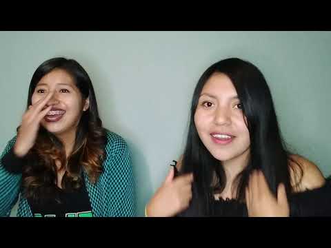 TAG DE LAS CANCIONES 20 CANCIONES | Las Primas