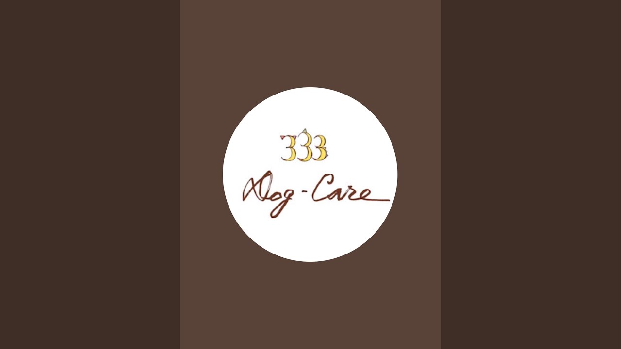 333 Dog-Care がライブ配信中！ - YouTube
