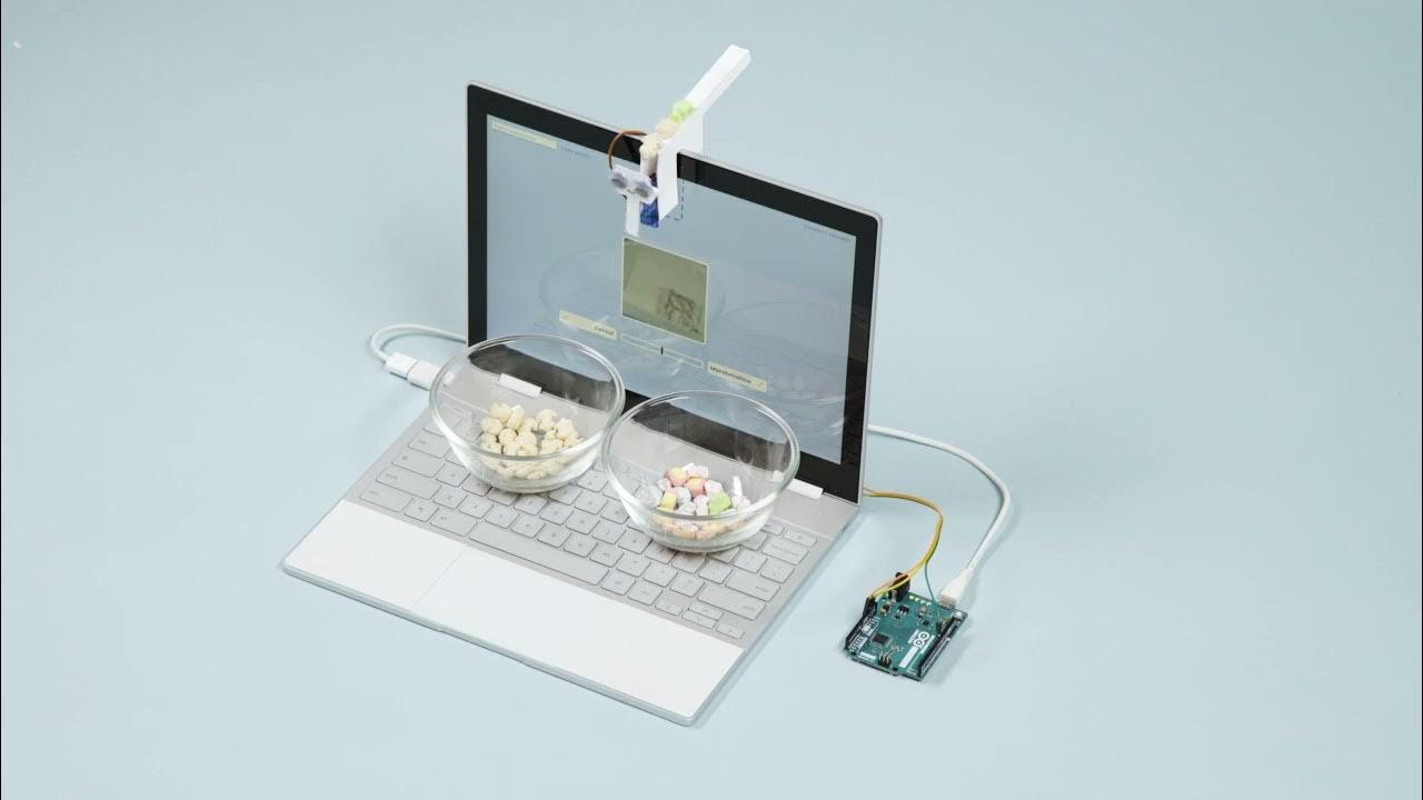 Tiny Sorter - YouTube