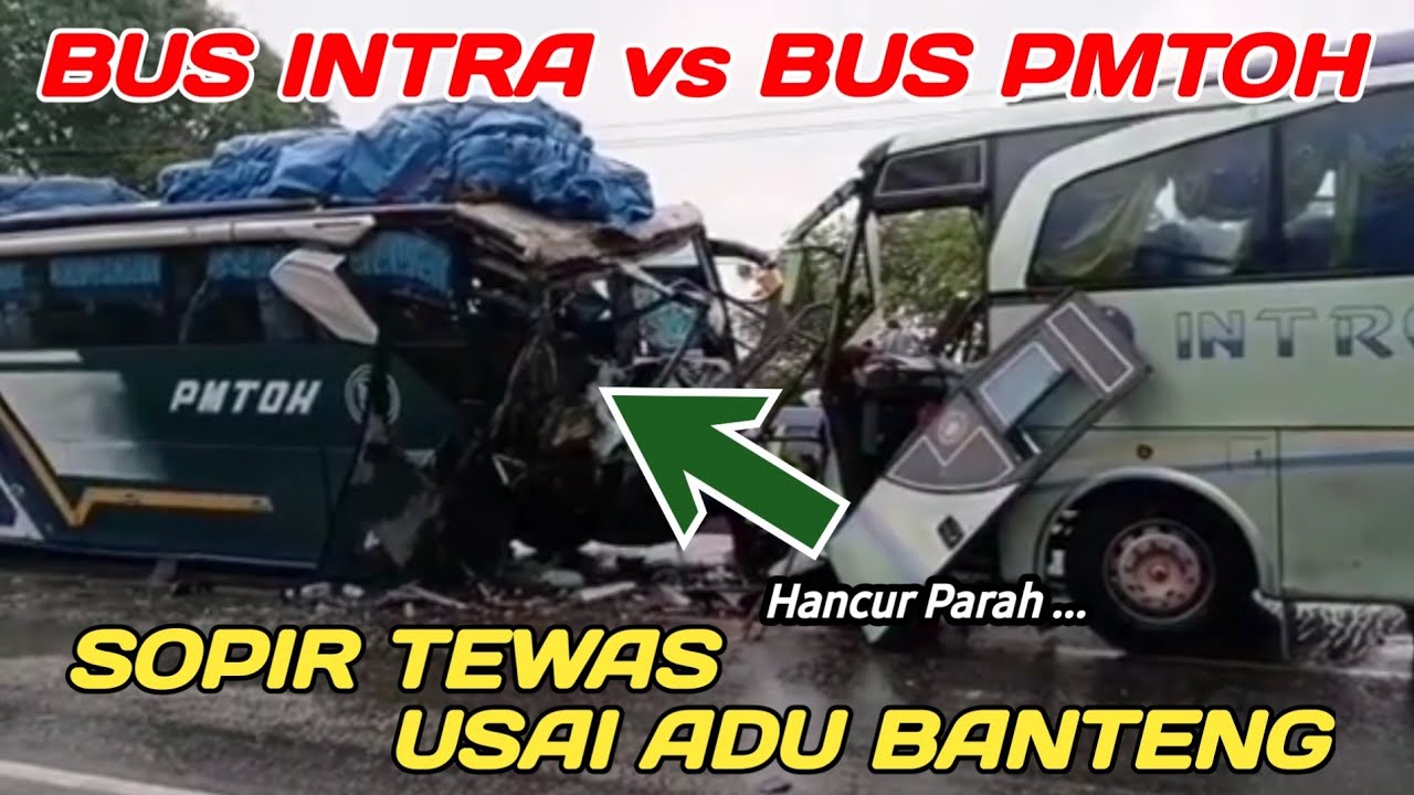 Bus Akap Laga Kambing PT.INTRA vs PT.PMTOH Di Bagan Batu Riau - YouTube
