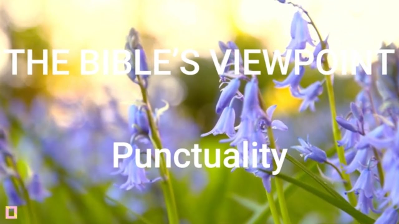 The Bible's Viewpoint About PUNCTUALITY | God's Words | SLEEP TALK ...