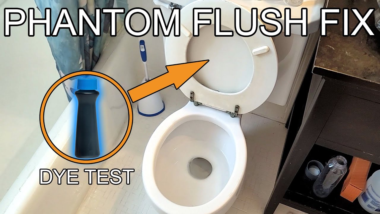 How to Fix a Leaky Toilet | Did it just flush itself? | Flapper ...