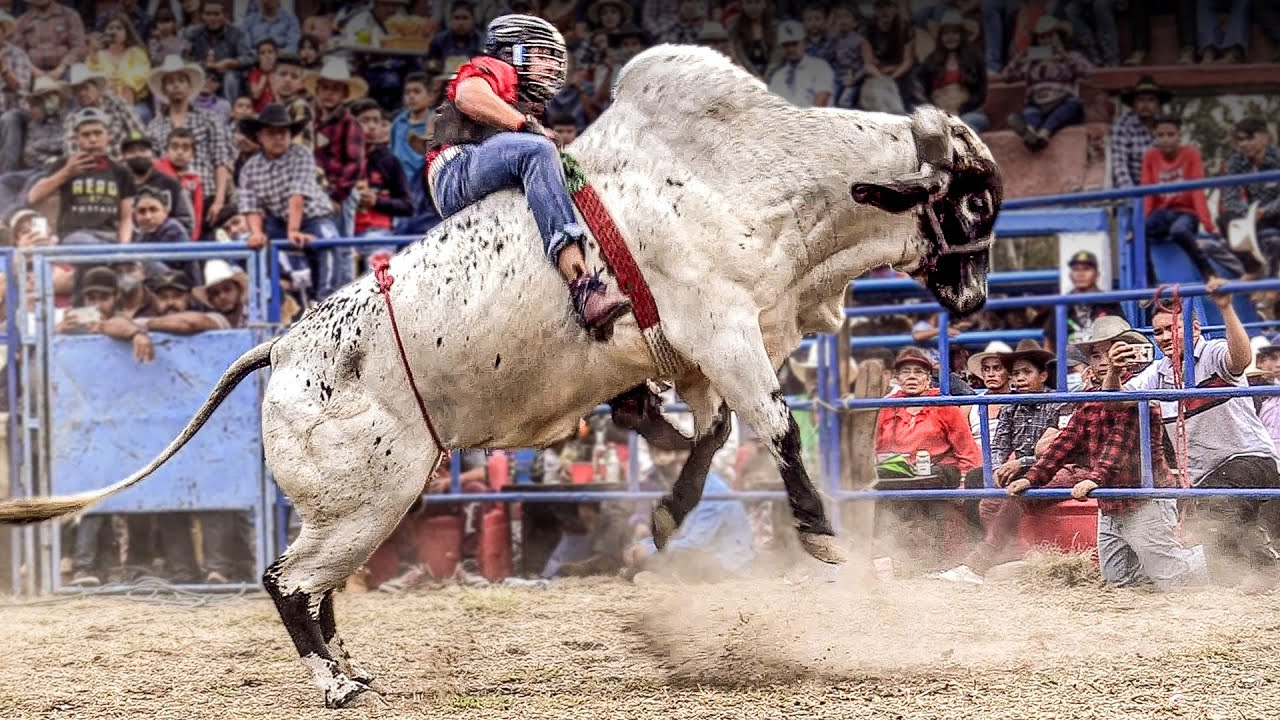 IBA PARA EL RASTRO PERO SALIO BUENO PARA REPARAR // Los Toros ...