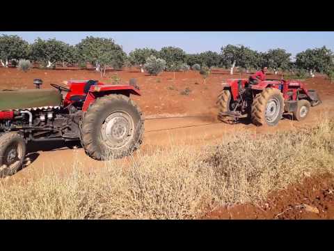 255 turbo Massey Ferguson 260 çekişme