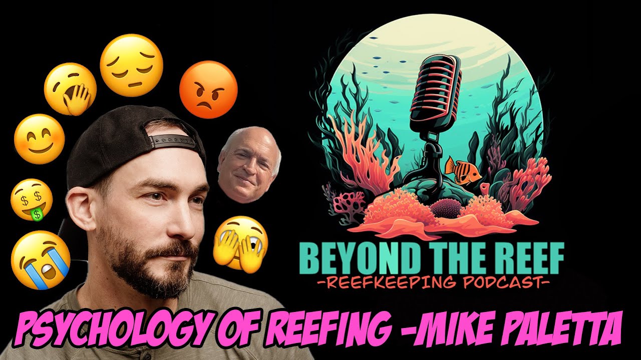 The Psychology of Reefkeeping with Michael Paletta - YouTube