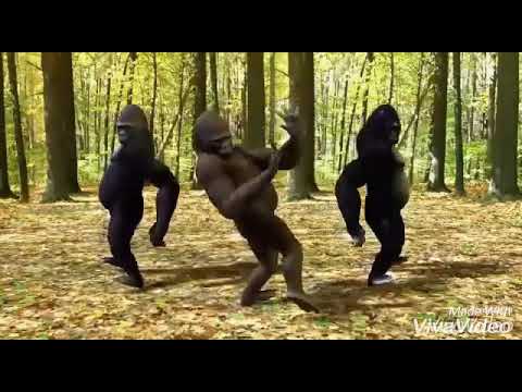 Monkey dans whatsapp status in tamil