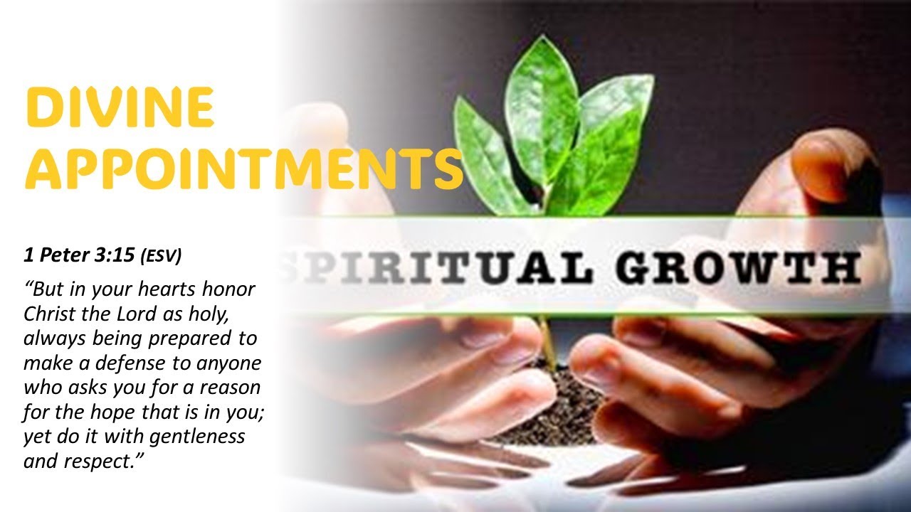 Divine Appointments (Daily Devotional) - YouTube