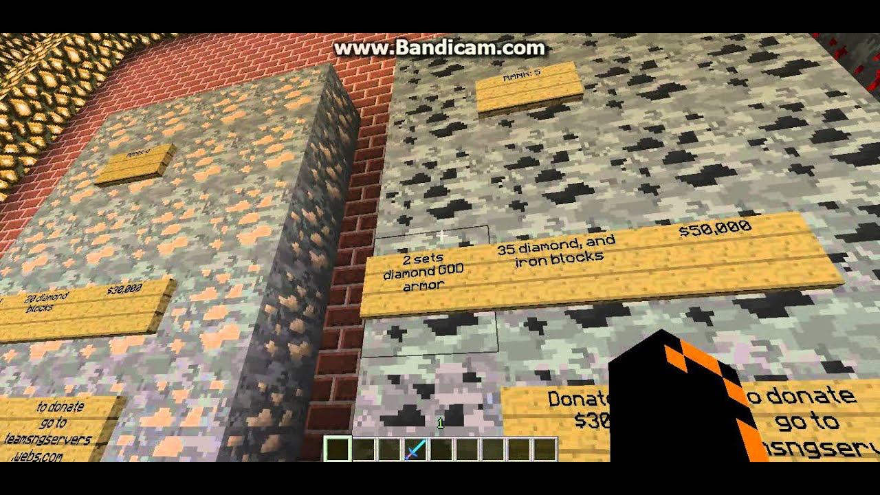 Minecraft - donate to the TeamSNG server - TeamSNG - YouTube