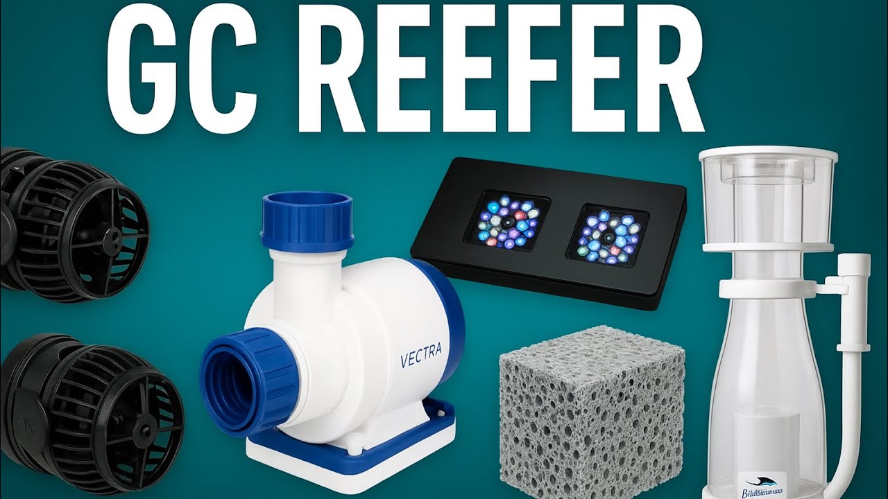 New Reef Tank Equipment | Ecotech | Bubble Magus | Marine Pure | Gc ...