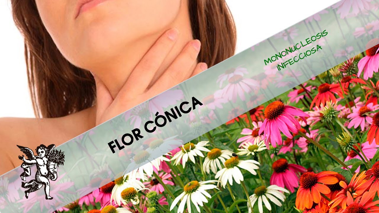 ¿Has sufrido CEGUERA TEMPORAL o AMAUROSIS FUGAZ? - YouTube