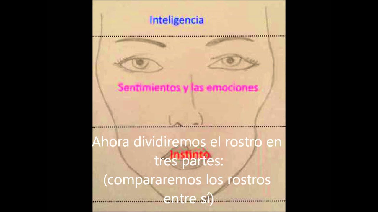 Lectura del rostro chino Mian Xiang - YouTube
