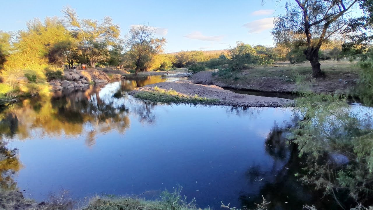 rillito de guajolllo. es muy bueno para la pesca de butes - YouTube