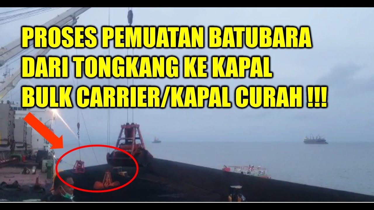 PROSES MUAT BATUBARA DARI TONGKANG KE KAPAL CURAH/KAPAL BULK CARRIER ...