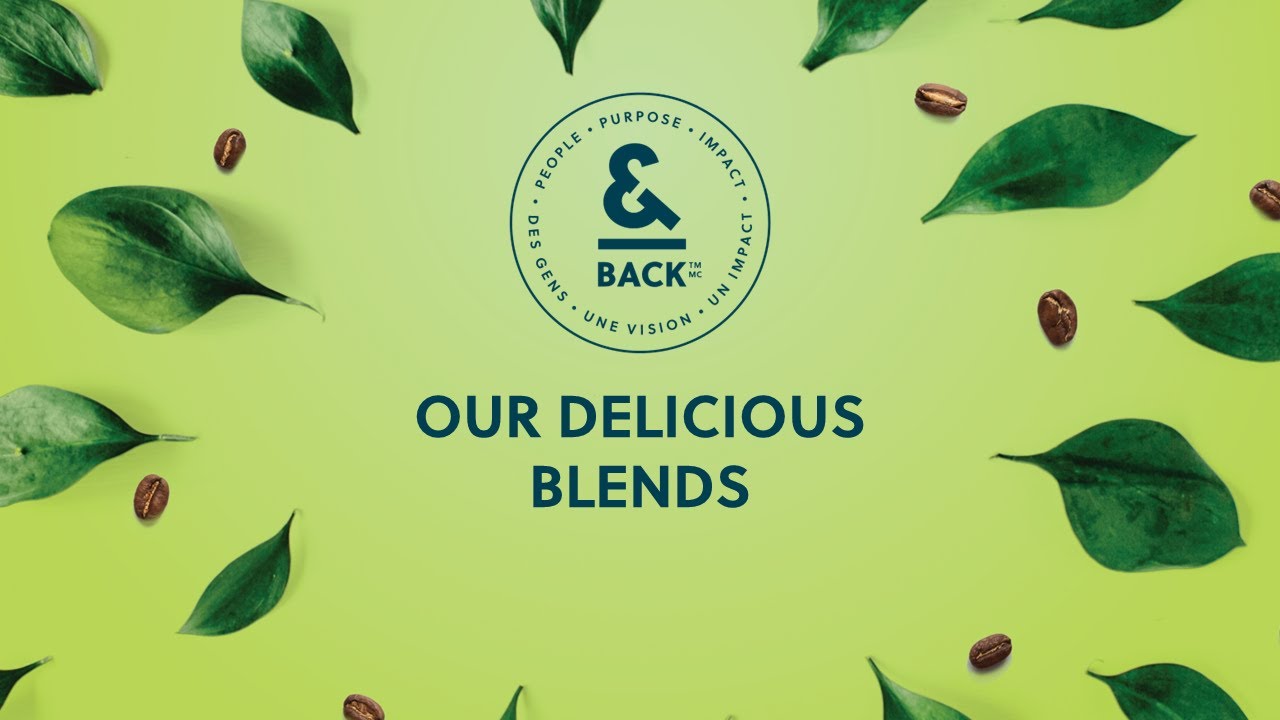 &BACK coffee - Our delicious blends - YouTube