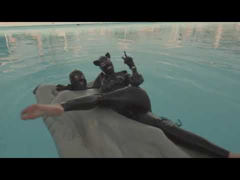 Daniel Harms - MARQUIS - Vacuumbed / Das MARQUIS Vakuumbett inkl. Luftmatratze! (2024)