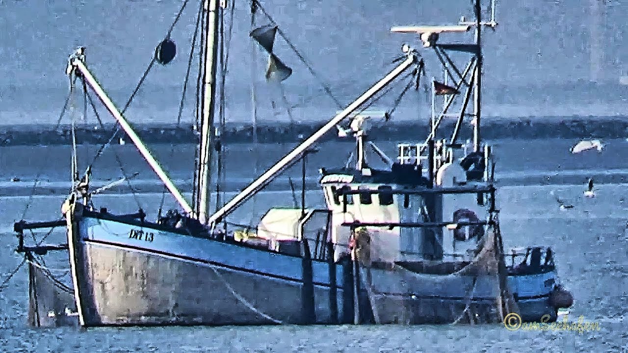 Dollartfischer DIT13 JUVENTUS Emden MMSI 211815490 busy fish trawler ...