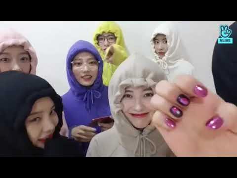 [다이아.DIA] 190310 다이아 V LIVE - 우왕!!!!!에이드!!!!!!!!! - YouTube