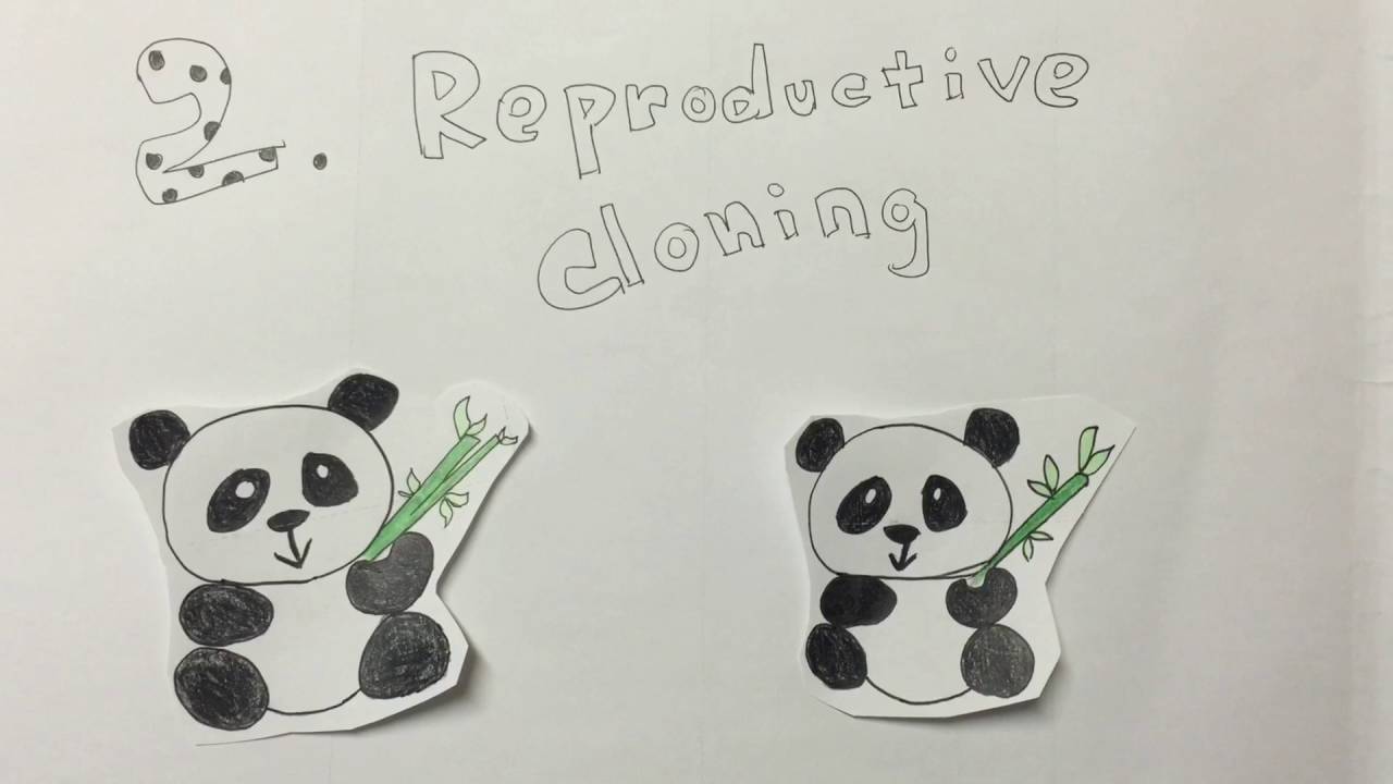 Cloning Paper Video - YouTube