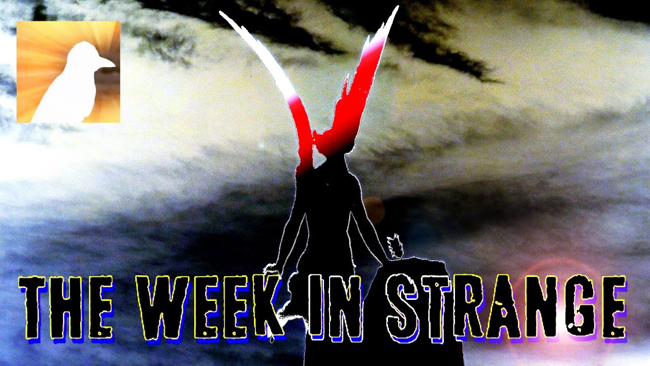 The Week in Strange – The World’s Strangest News Report - 015 - YouTube