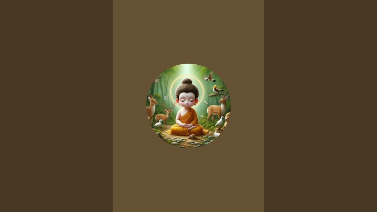 Dhamma Video is live! - YouTube