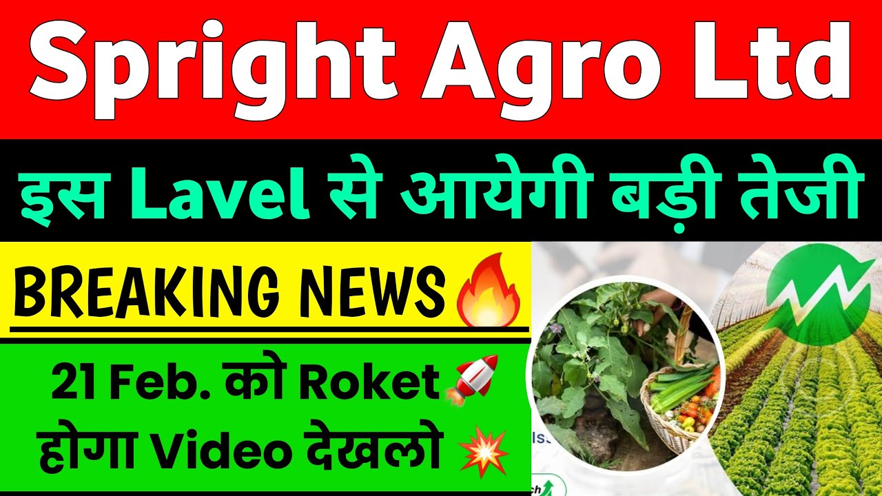 Spright agro share latest news | Spright Agro Share Analysis & target ...