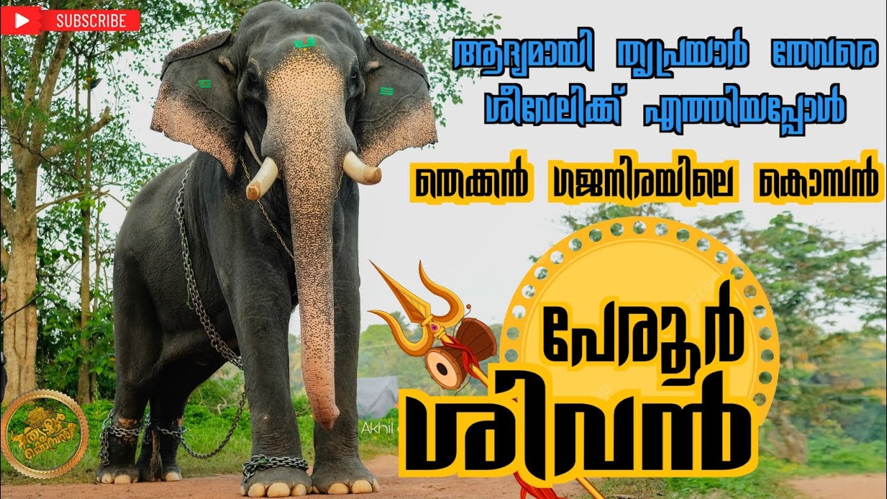പേരൂർ ശിവൻ | തൃപ്രയാർ ശീവേലി എടുക്കാൻ ആദ്യമായി | peroor sivan ...