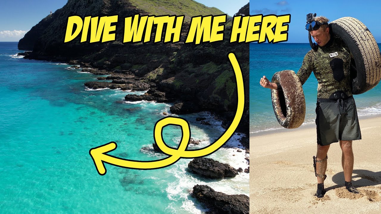 I want you to come dive with me... Here's how! - YouTube