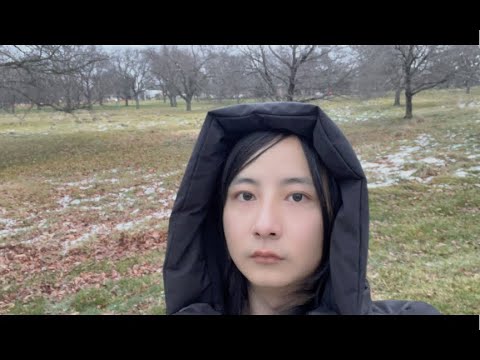 Yu Ziyi | コンピュータープログラミングで使用される数学的手法 - YouTube