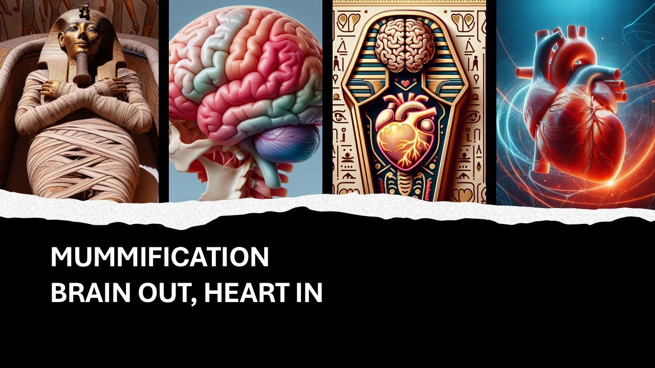 BRAIN OUT, HEART IN. Ancient Egyptian Mummies. EXPLAINED - YouTube