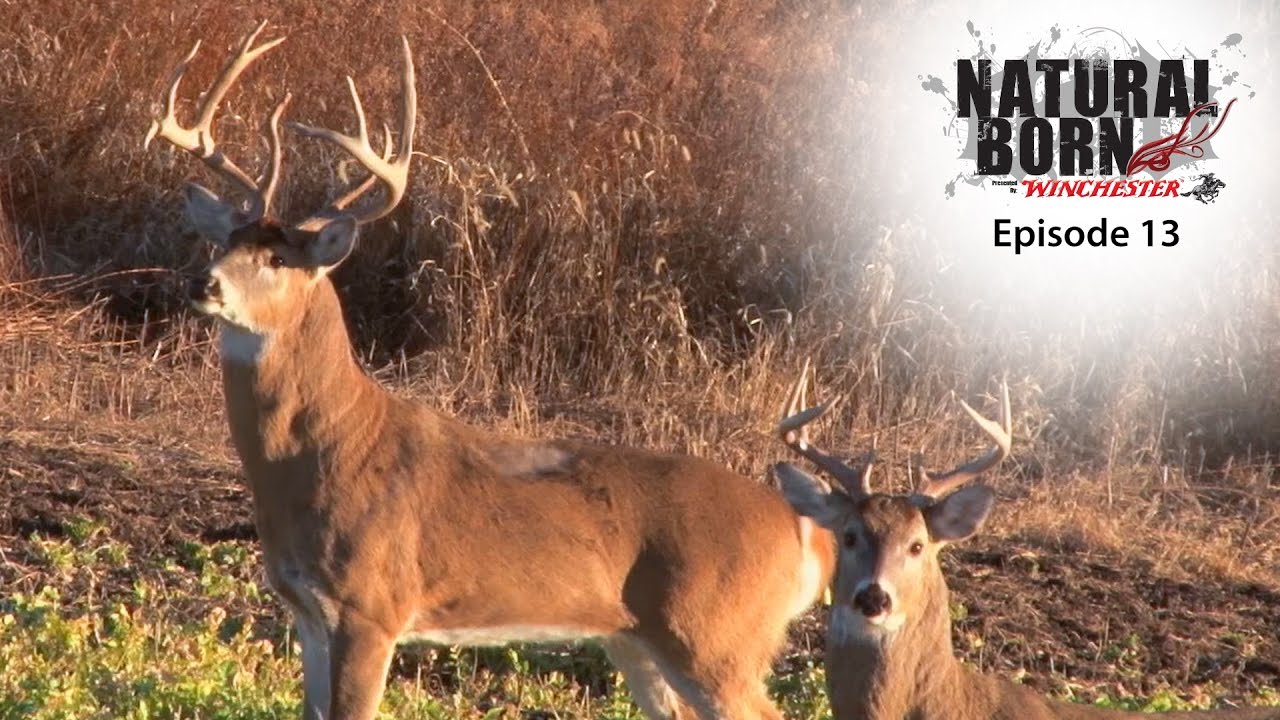Winchester's Natural Born Ep. 13 (Mark Drury | Matt Drury | Steve "Coon ...