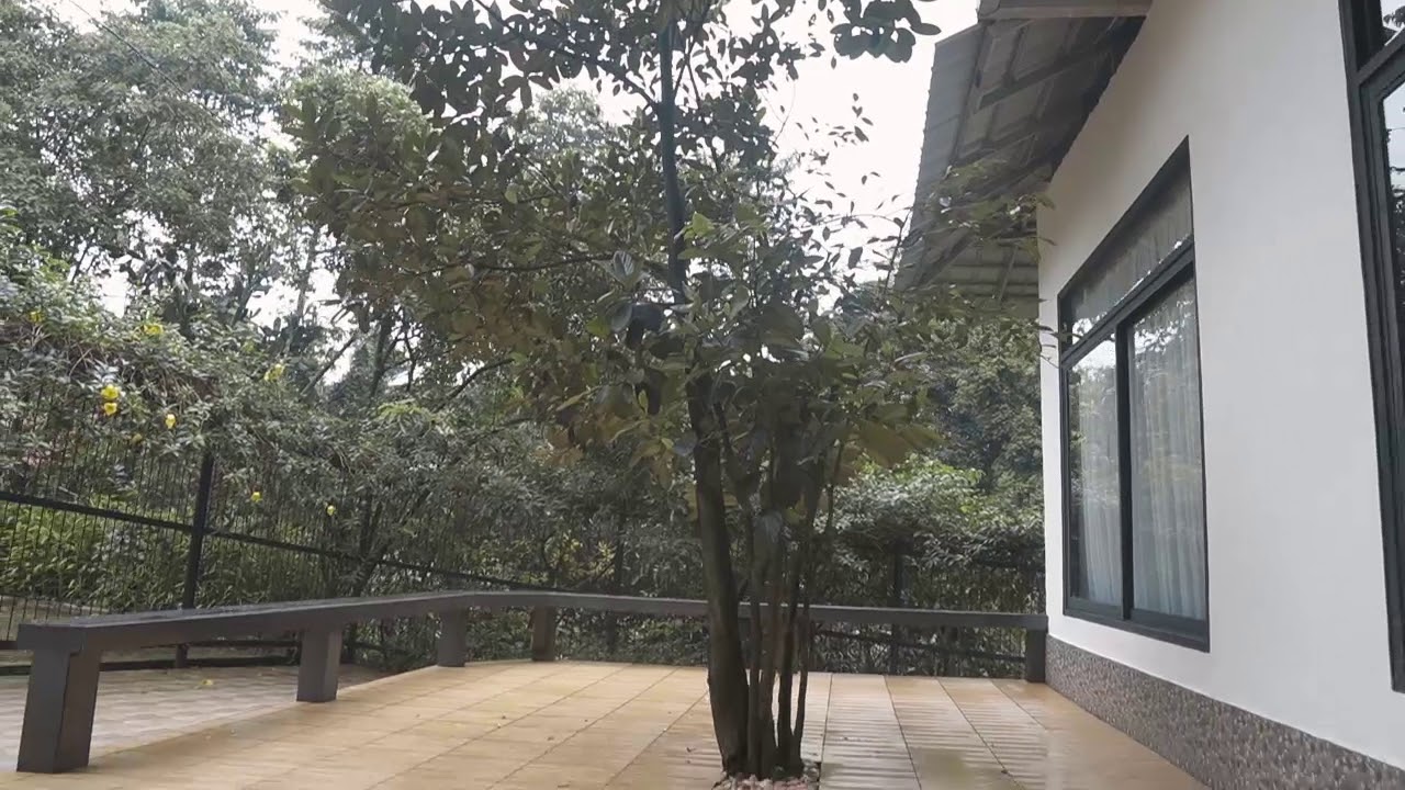 KEBUNSU BOGOR , SIGNATURE VILLA ONE + ONE PLUS 14-17 BEDROOMS , 65-100 ...