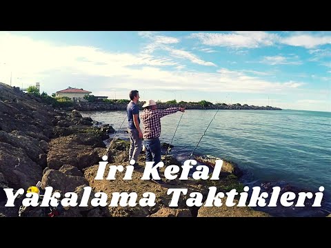 KEFAL AVI VE TEKNİKLERİ / DİP OLTASI İLE KEFAL AVI / TAKOZ KEFALLER