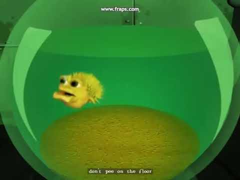Meme original do peixe cantando no aquário - YouTube