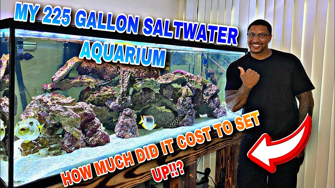 MY 225 GALLON SALTWATER AQUARIUM!! *HOW MUCH DID IT COST TO SET UP ...