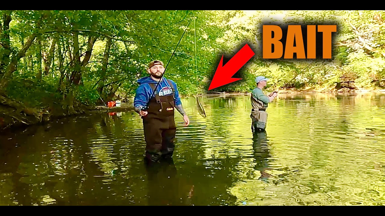 A Fishing Bait That Fish Can Not Resist Fishing Creeks/Small Rivers or ...