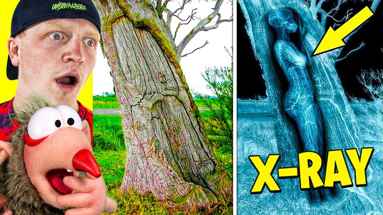 STRANGE Things FOUND In Unexpected Places w/ UNSPEAKABLE ! - YouTube