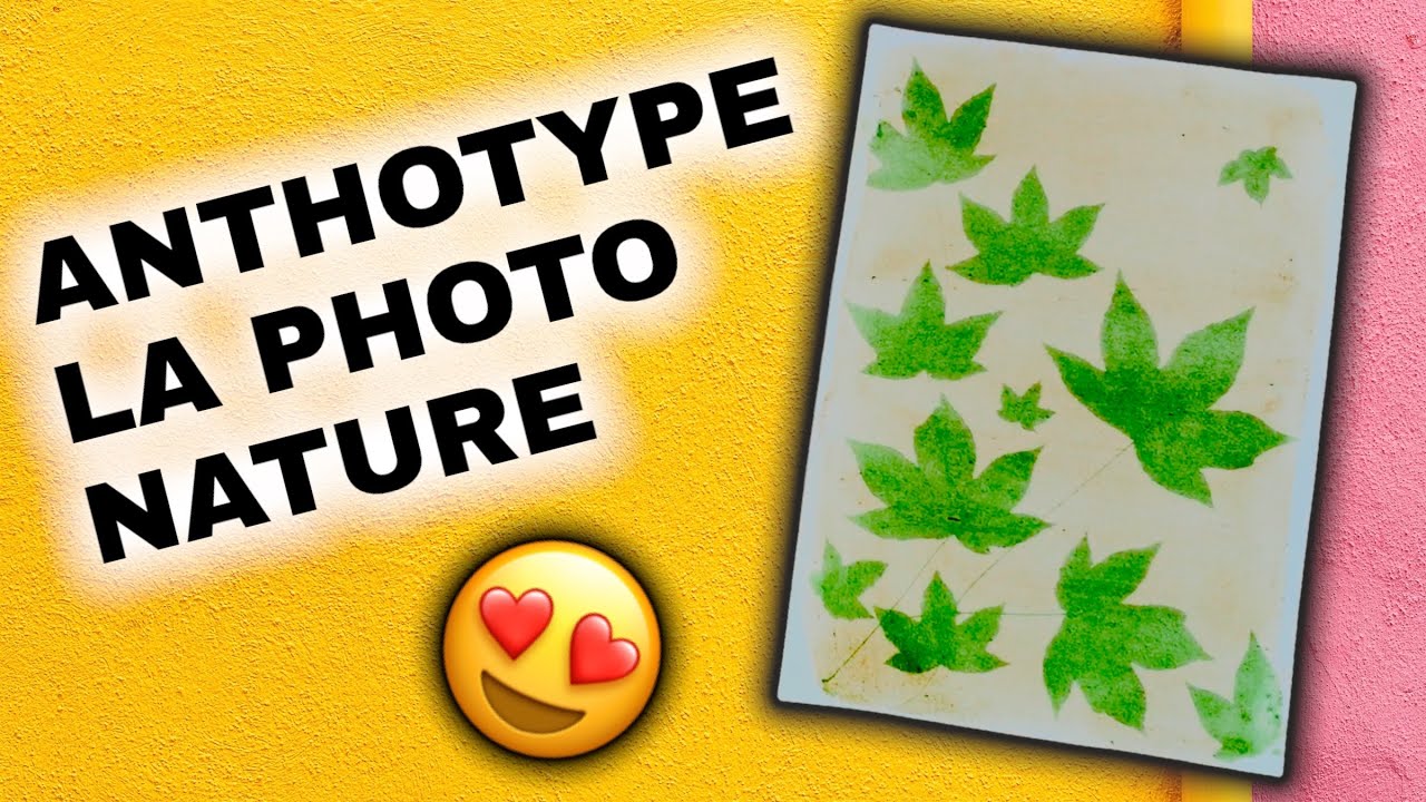 TUTO : Anthotype a la chlorophylle de trèfles - YouTube