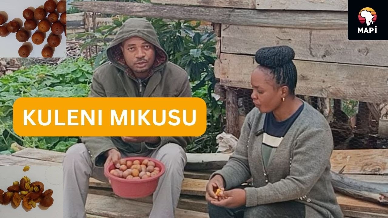 Matunda Pori Yenye Vitamin A Mikusu Nyanda za Juu Kusini - YouTube