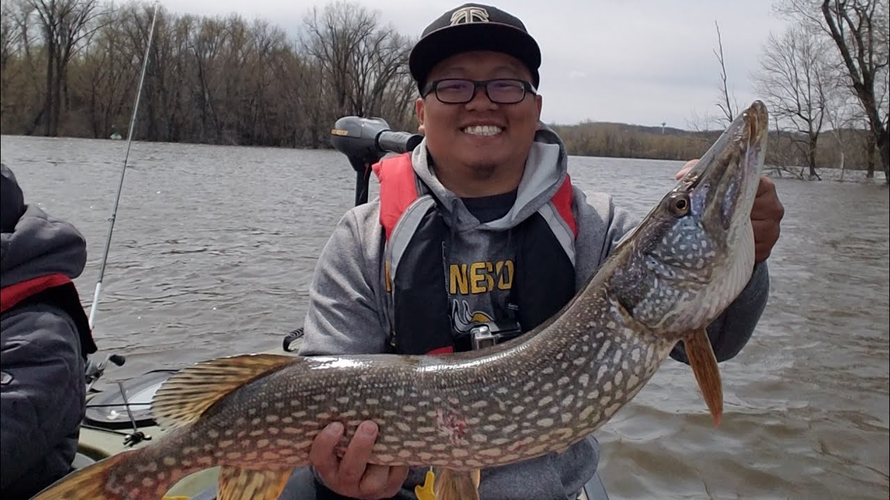 BIG PIKE with LAMPREY on it! Scary! - YouTube