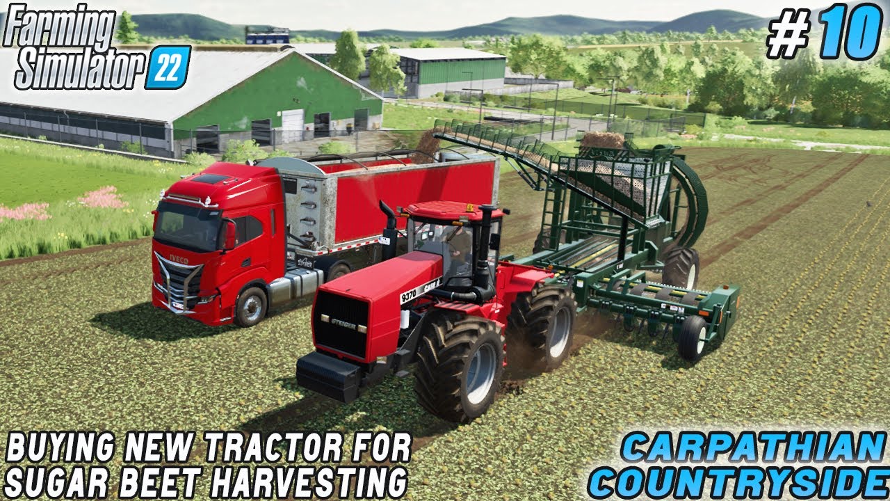 New planter, buying a sugar factory and a sugar field | Carpathian ...