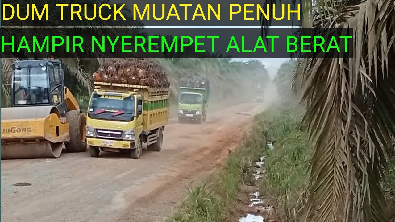 MOBIL SAWIT MUATAN PENUH HAMPIR MENYEREMPET MOBIL BOMAX - YouTube