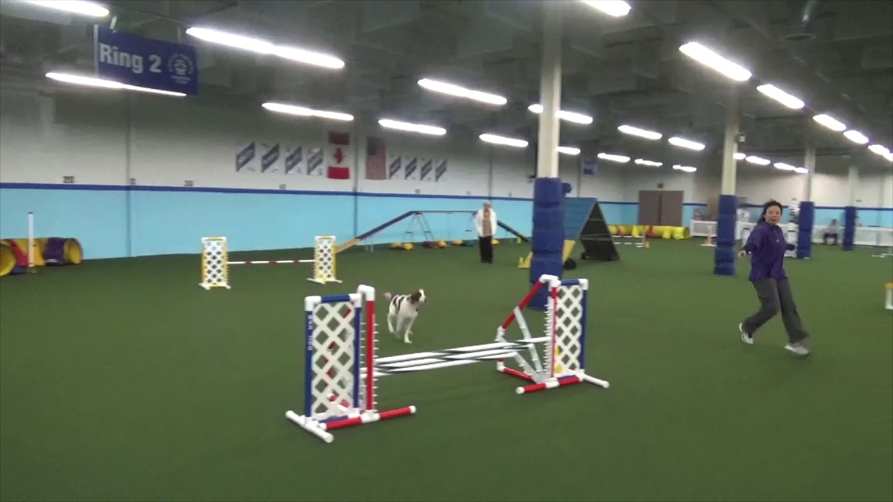 Joyful - Double Q #53! Triple Q! - YouTube