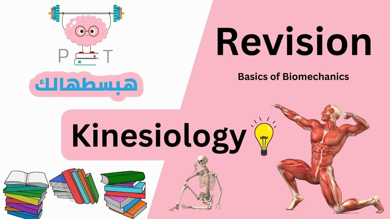 Revision of midterm #هبسطهالك #kinesiology - YouTube