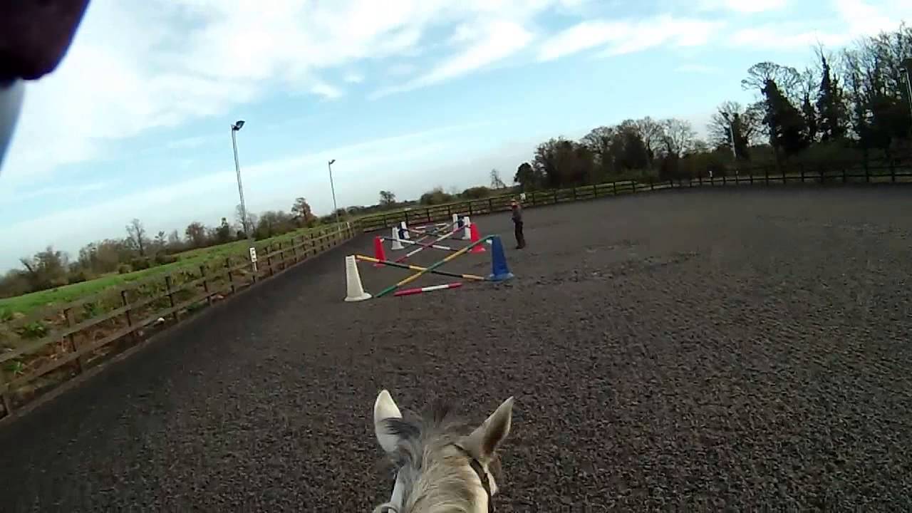 Molly's first gridwork jumping lesson - YouTube