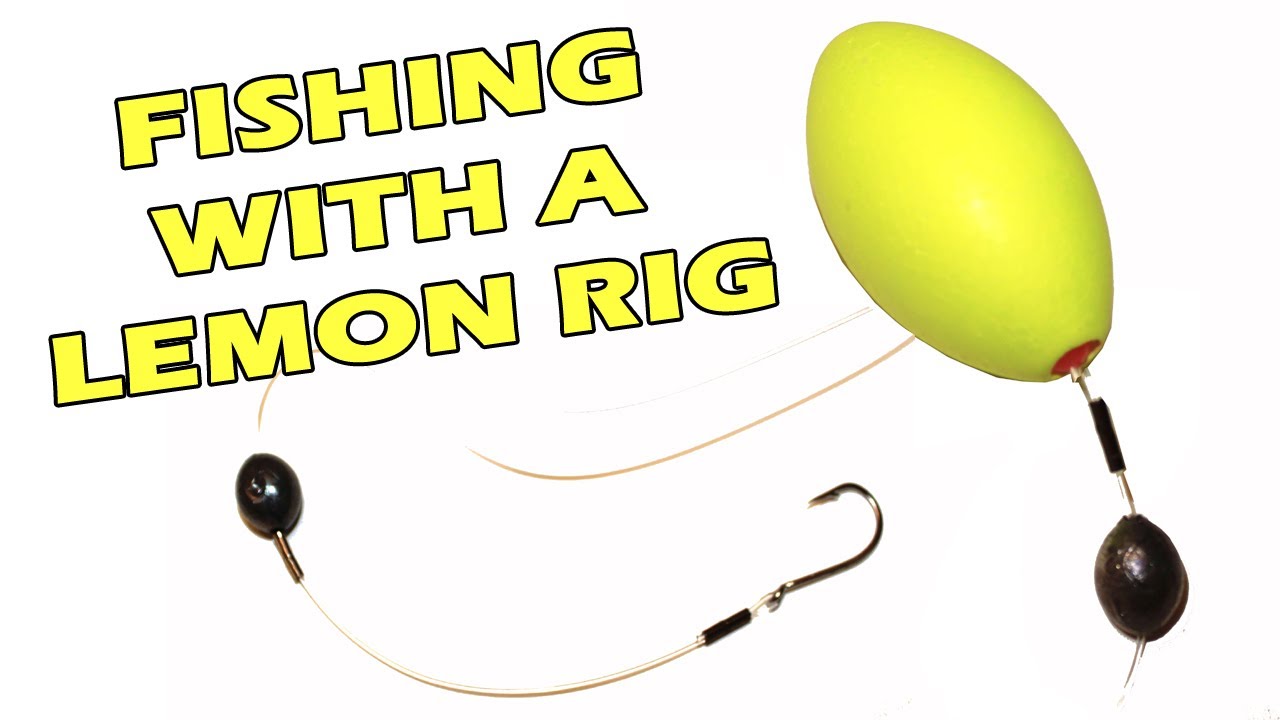 How To Fish With A Lemon Rig For Anglers that Like To Fish The Jetties ...