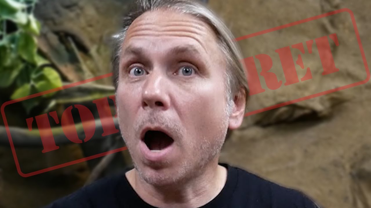 TOP SECRET INFORMATION About The REPTARIUM! - YouTube