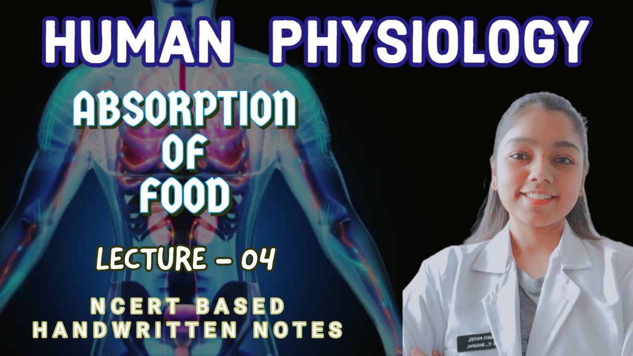 HUMAN PHYSIOLOGY | ABSORPTION OF FOOD AND DISORDERS OF GIT| LECTURE - 04 - YouTube