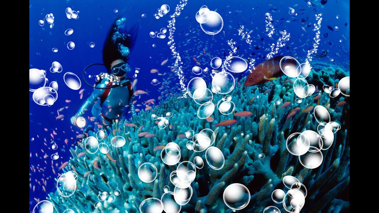 How to create your own bubble brush in Adobe Photoshop | Photoshop ...