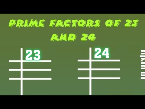 Prime Factors of 23 and 24 - Prime Factorization - YouTube