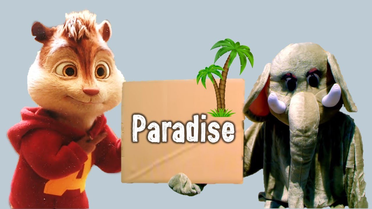 Coldplay Paradise Elephant